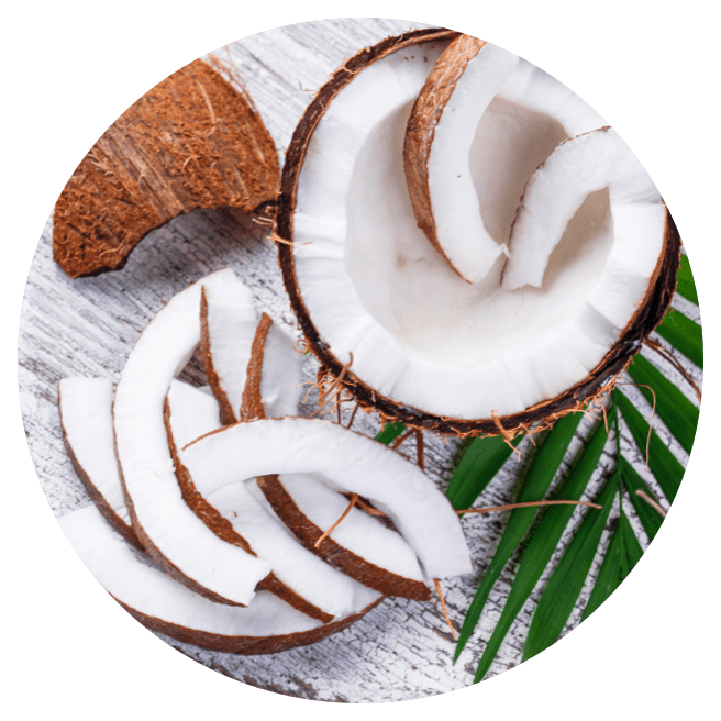 FlowForce Max | Supplement Legends